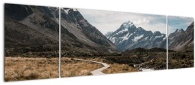 Obraz - Chodník v údolí hory Mt. Cook (170x50 cm)