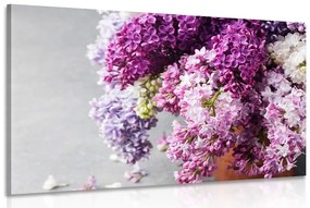 Obraz šeřík v růžových odstínech - 120x80 cm