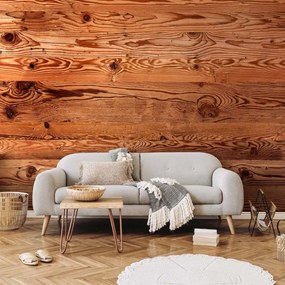 Fototapeta Hnědá loď - pozadí s texturou vodorovně uspořádaných dřevěných desek