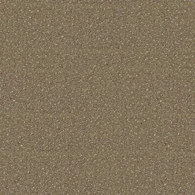 Zátěžový koberec Fortesse Sde New 40 (šířka 4 m)