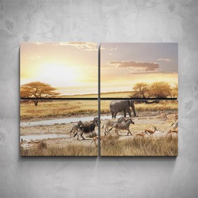 4-dílný obraz - Africká zvířata - PopyDesign