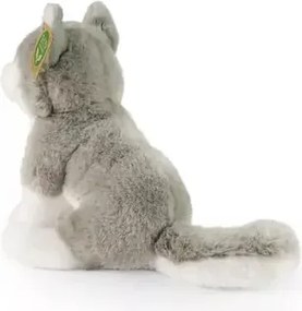 RAPPA Plyšový pes husky sedící 23 cm / SOFT COLLECTION  / od 0 let