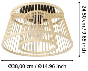 Eglo 43851 - Stropní svítidlo HYKEHAM 1xE27/40W/230V