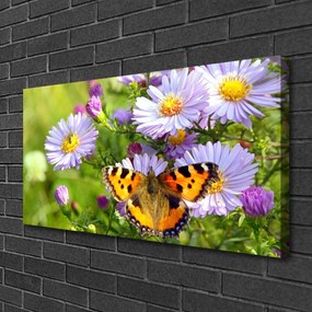 Obraz na plátně Květiny Motýl Příroda 125x50 cm