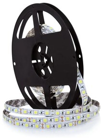 Polux | LED Pásek 5m LED/45W/12V IP65 bílá | SA0824