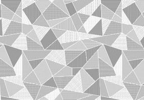 Fototapeta - Polygony (245x170 cm)