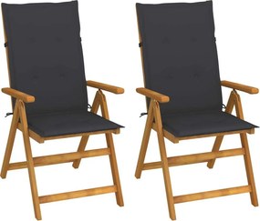 vidaXL Zahradní polohovací židle s poduškami 2 ks masivní akácie [3064068] Barva: antracitová