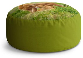 Sablio Taburet Circle Lev a lvice: 38x48 cm