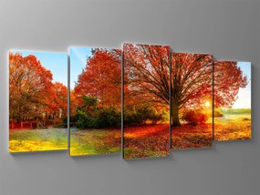 Liox Obraz strom v paprscích slunce Rozměr: 125 x 55 cm