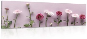 Obraz kompozice růžových chryzantém - 120x40 cm