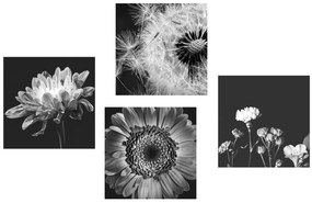 Set obrazů černobílé něžné květiny