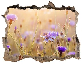 Wallmuralia Samolepící díra nálepka Polní květiny 95x64 cm