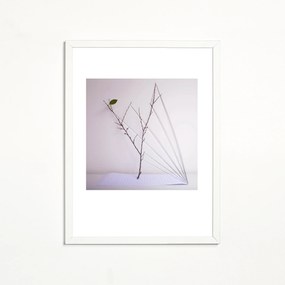 Michaela Pospíšilová Králová | Reconstructed Diary 2 Rám: Bílý, Velikost: 30 x 20 cm