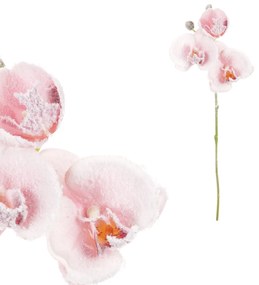 Orchidej, barva růžová KUC2606 PINK