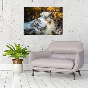 Skleněný obraz - Lesní potok (70x50 cm)