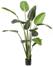 Strelitzia umělá V 190 cm