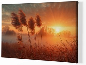 Obraz na plátně - Východ slunce ve slatinách FeelHappy.cz Velikost obrazu: 40 x 30 cm