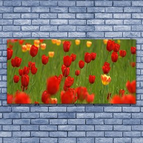 akrylový obraz Tulipány Rostlina 120x60 cm