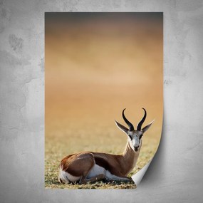 Plakát - Antilopa (80x120 cm) - PopyDesign