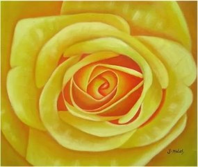 Žlutá růže - 60 x 90 cm