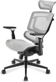 Sharkoon OfficePal C50M šedá / kancelářská židle / 3D opěrky / nosnost