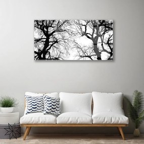 Obraz na skle Stromy Příroda Černobílý 100x50 cm
