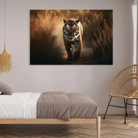 Obraz na plátně - Tygr běžící savanou FeelHappy.cz Velikost obrazu: 60 x 40 cm