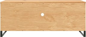 furniture-nabytek.cz - TV stolek Sidora divoký dub