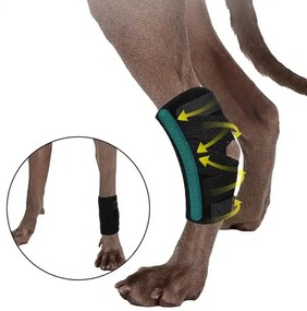 PEPU Opěra nohou psa pro podporu kotníku Rear Leg  ortéza, Barvy L