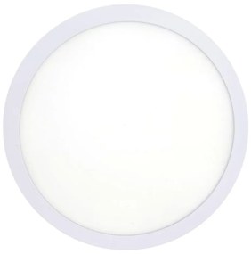 LED Stropní svítidlo LED/18W/230V 4200K pr. 21 cm bílá