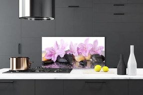 Skleněné obklady do kuchyně Květ Kameny Rostlina 100x50 cm