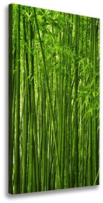 Wallmuralia Foto-obraz canvas do obýváku Bambusový les 50x100