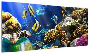 Podmořský svět - obraz (100x40cm)