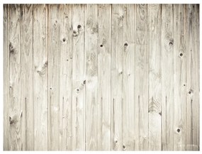 Fototapeta - Wood fence
