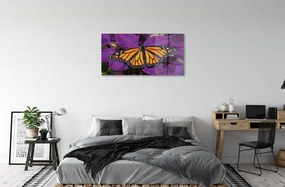 Obraz na skle Barevný motýl květiny 100x50 cm