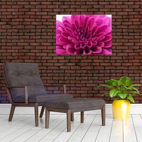 Skleněný obraz květiny (70x50 cm)