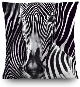 Foto polštář Zebra CN 3605 / Dekorativní 3D fotopolštář 45 x 45 cm AG Design