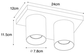 Moderní stropní bodové světlo bílé 2-světlo - Tubo