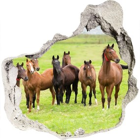 Wallmuralia Díra 3D fototapeta nálepka Stádo koní na louce 75x75 cm