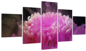 Obraz květiny v růžovém dýmu (125x70 cm)
