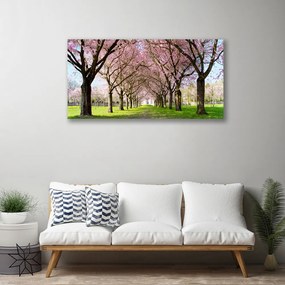 Obraz na plátně Stezka Stromy Příroda 120x60 cm