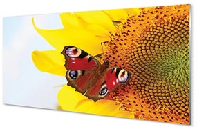 Obraz na skle slunečnice motýl 125x50 cm