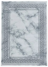 Vopi | Kusový koberec Naxos 3818 silver - 120 x 170 cm