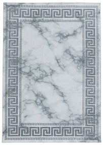 Vopi | Kusový koberec Naxos 3818 silver - 200 x 290 cm