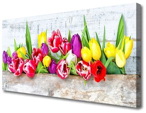 Obraz na plátně Tulipány Květiny Příroda 120x60 cm