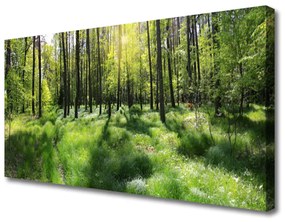 Obraz na plátně Les Tráva Rostlina Příroda 140x70 cm