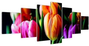 Obraz tulipánů na černém pozadí (210x100 cm)