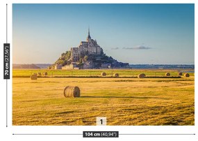 Fototapeta Le Mont SaintMichel 104x70