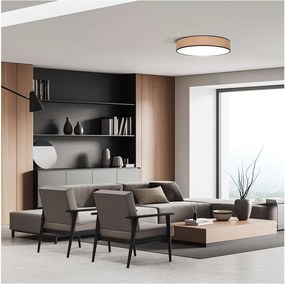 LED stropní světlo s dálkovým ovládáním Brownie nastavitelné - průměr 50 cm, hnědá