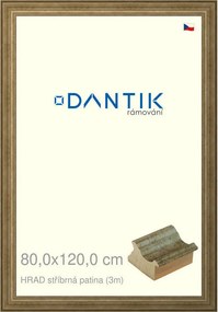 DANTIK rámeček 80x120 | HRAD stříbrná patina (Plexi Čiré)